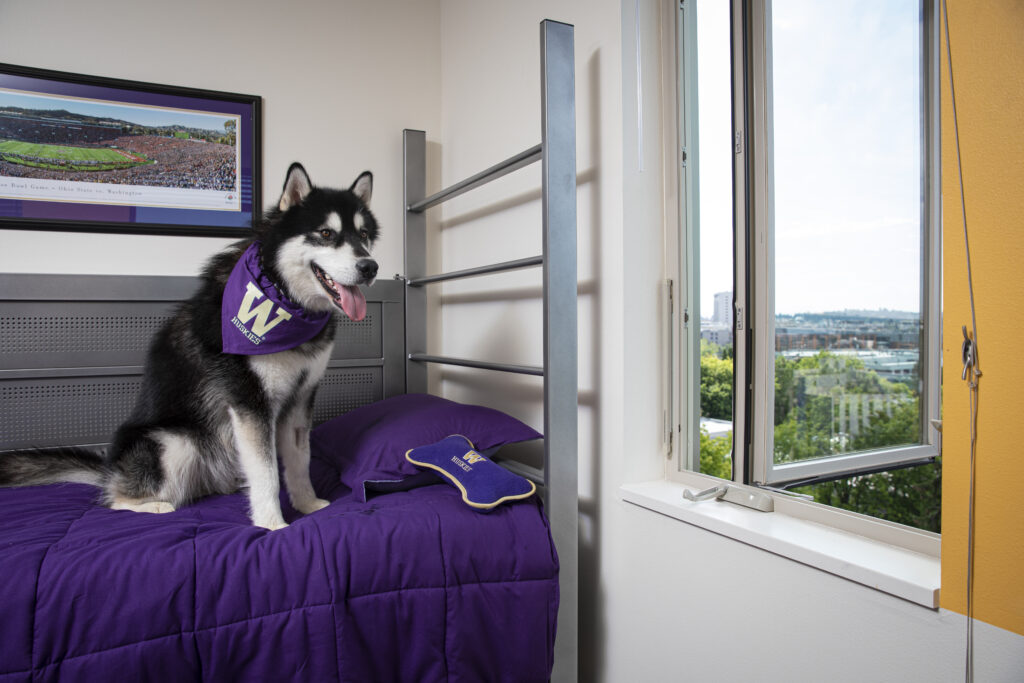 DUBS makes himself home as a student in one of the residence halls on ...