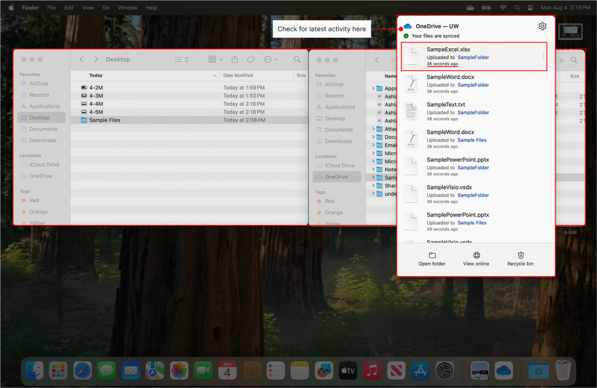 OneDrive Usage Guide – Intranet